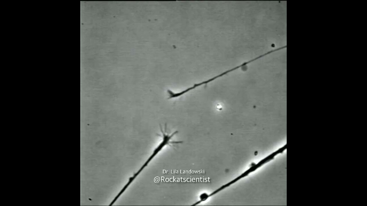 Learning occurs when a connection or an association is made between two ...