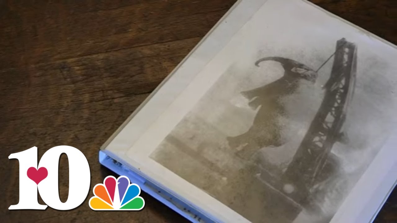 The shocking story of Mary the elephant hanging: what really happened ...