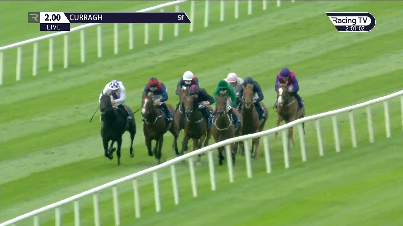 Holden plant rentals: why your fern is plotting a road trip (spoiler ...