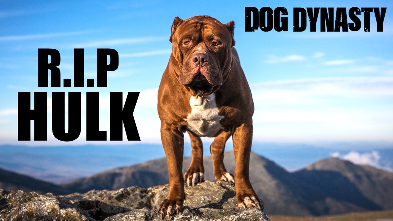 So maybe stick to those. But interrobang might be too much. Let me see ...