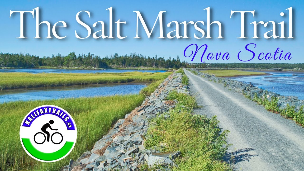Salt marsh trail: where crabs gossip, mud whispers, and your boots ...