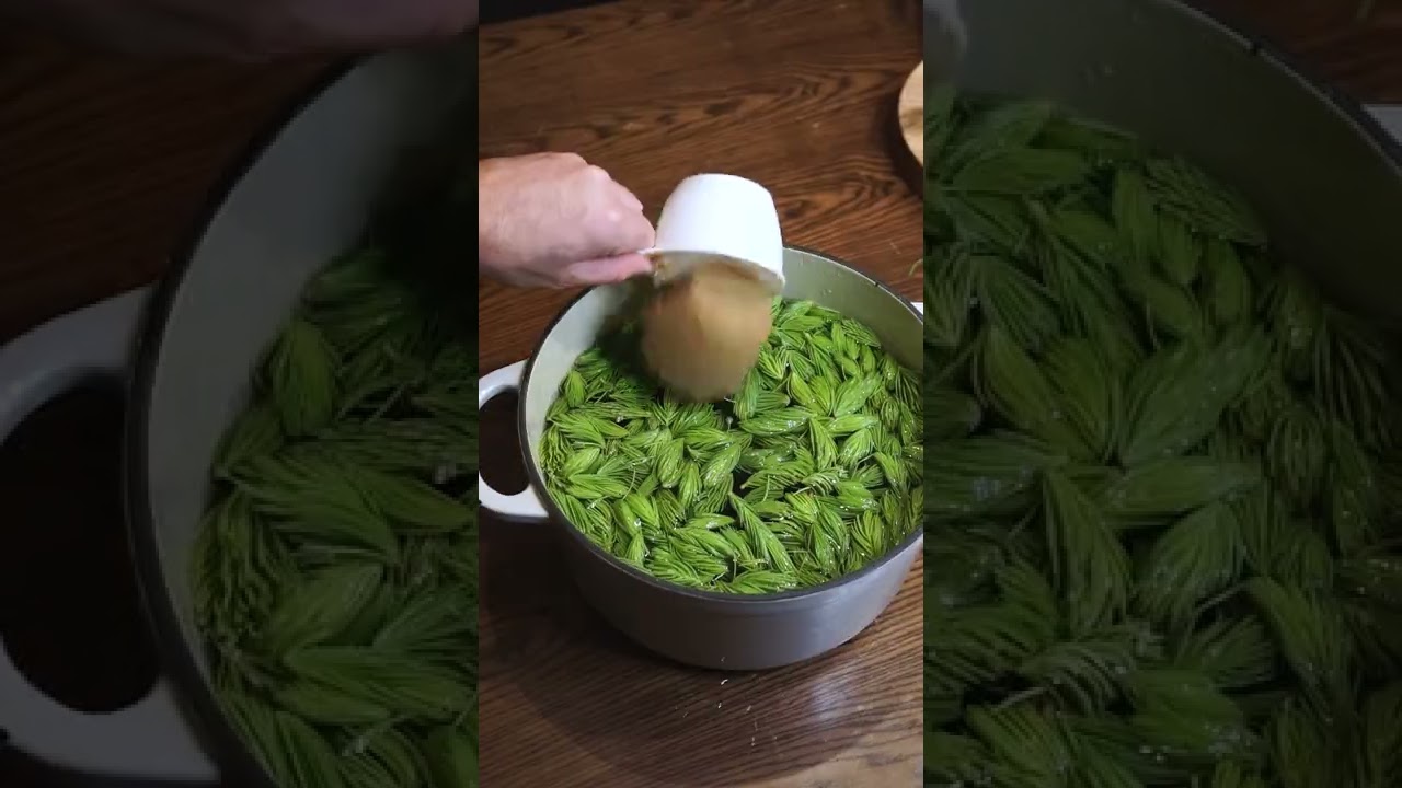 Spruce Tips Recipe: Because Your Salad Deserves a Pine-Scented ...