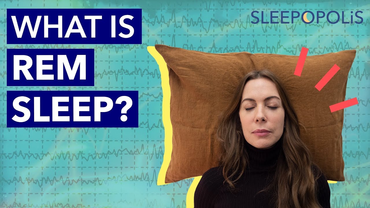 What does rem sleep mean? unraveling the nocturnal antics of your pillow‑hogging, dream ...