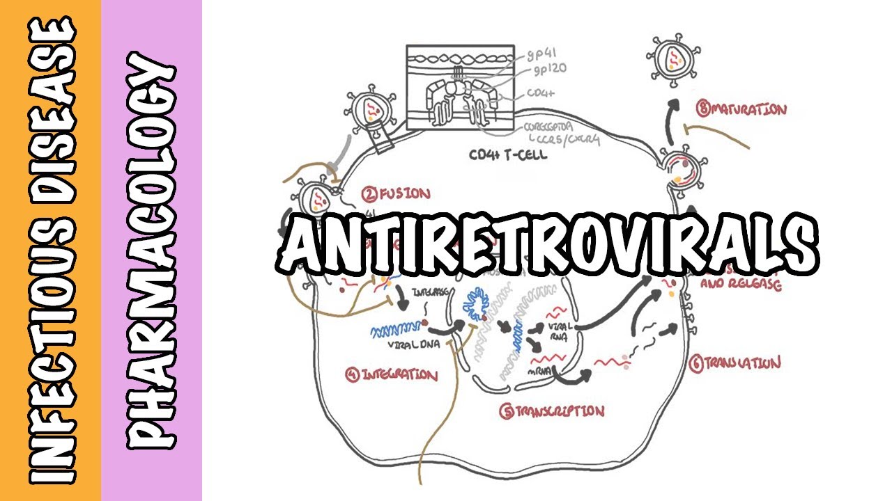 Antiretroviral Drugs for HIV Treatment: A Comprehensive Guide ...